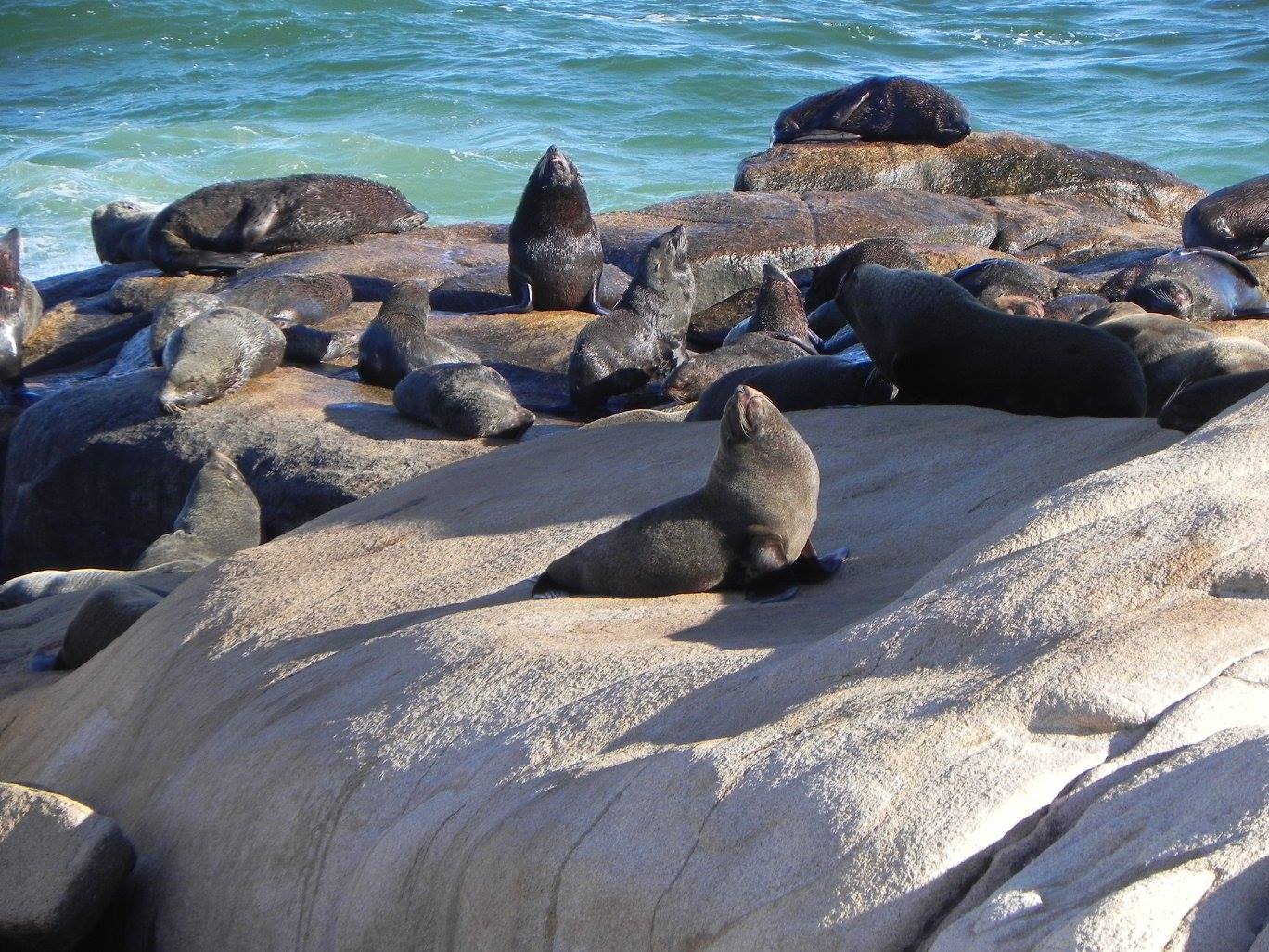Cabo Polonio, Uruguay, a lost “sustainable” paradise – EcoLove ...